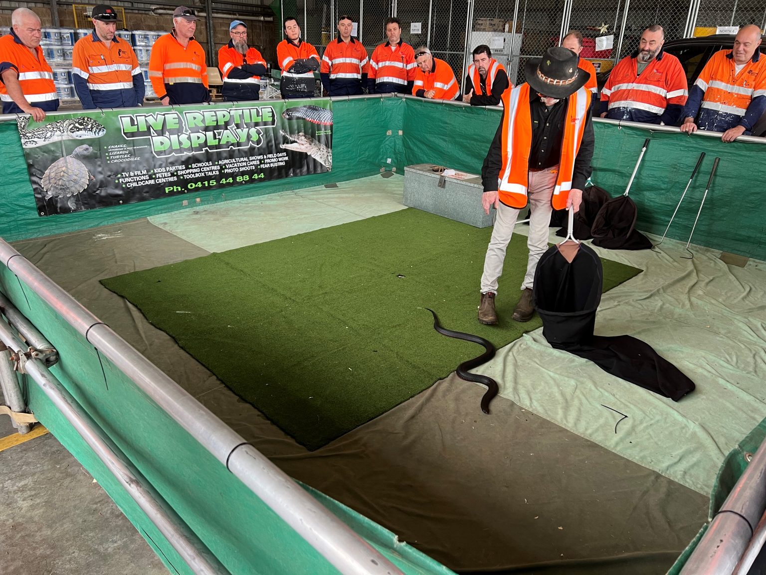 At the Workplace – Live Reptile Displays